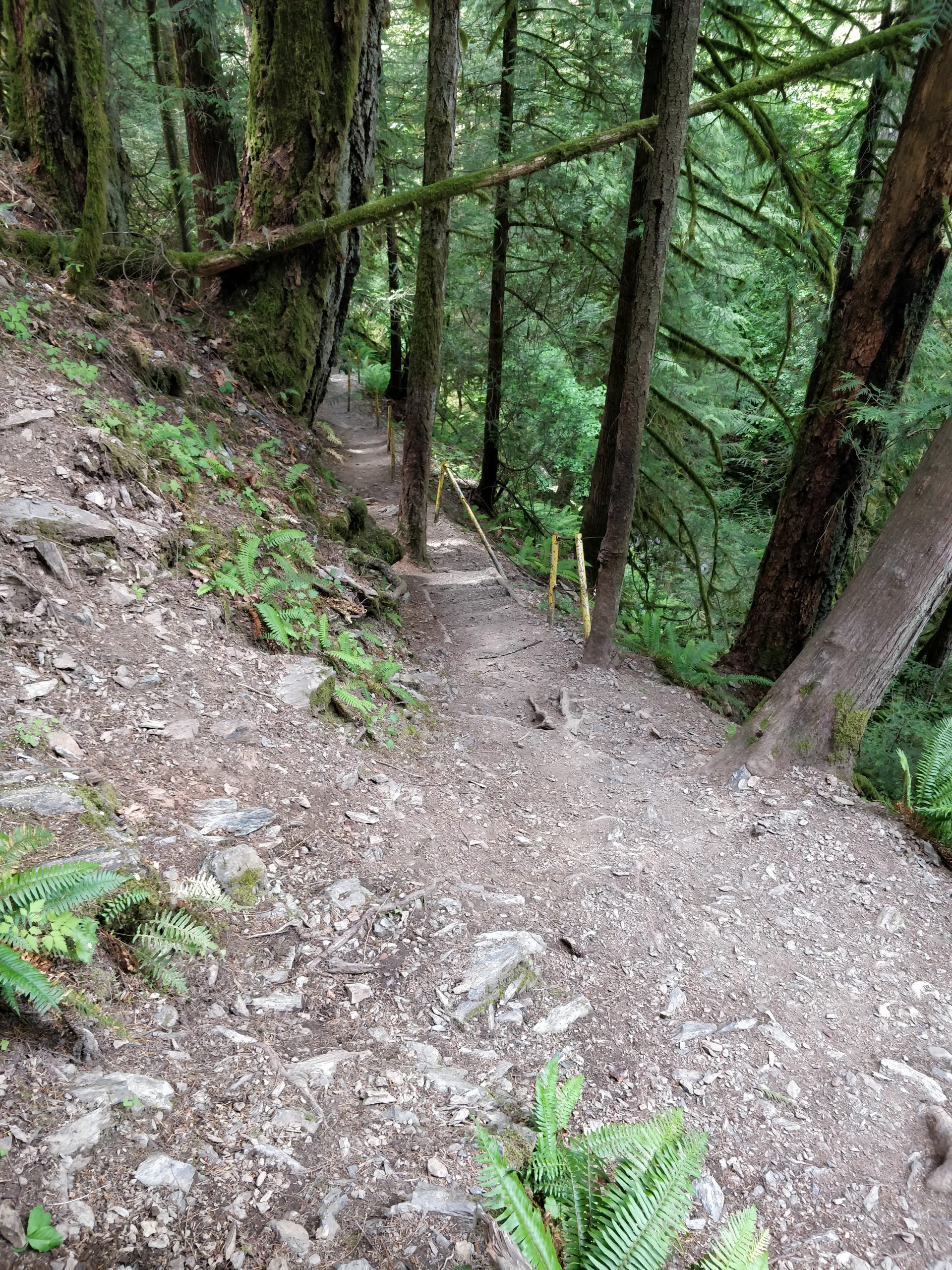Two Trestles, a Tunnel and a Waterfall – A Blog by Chris!